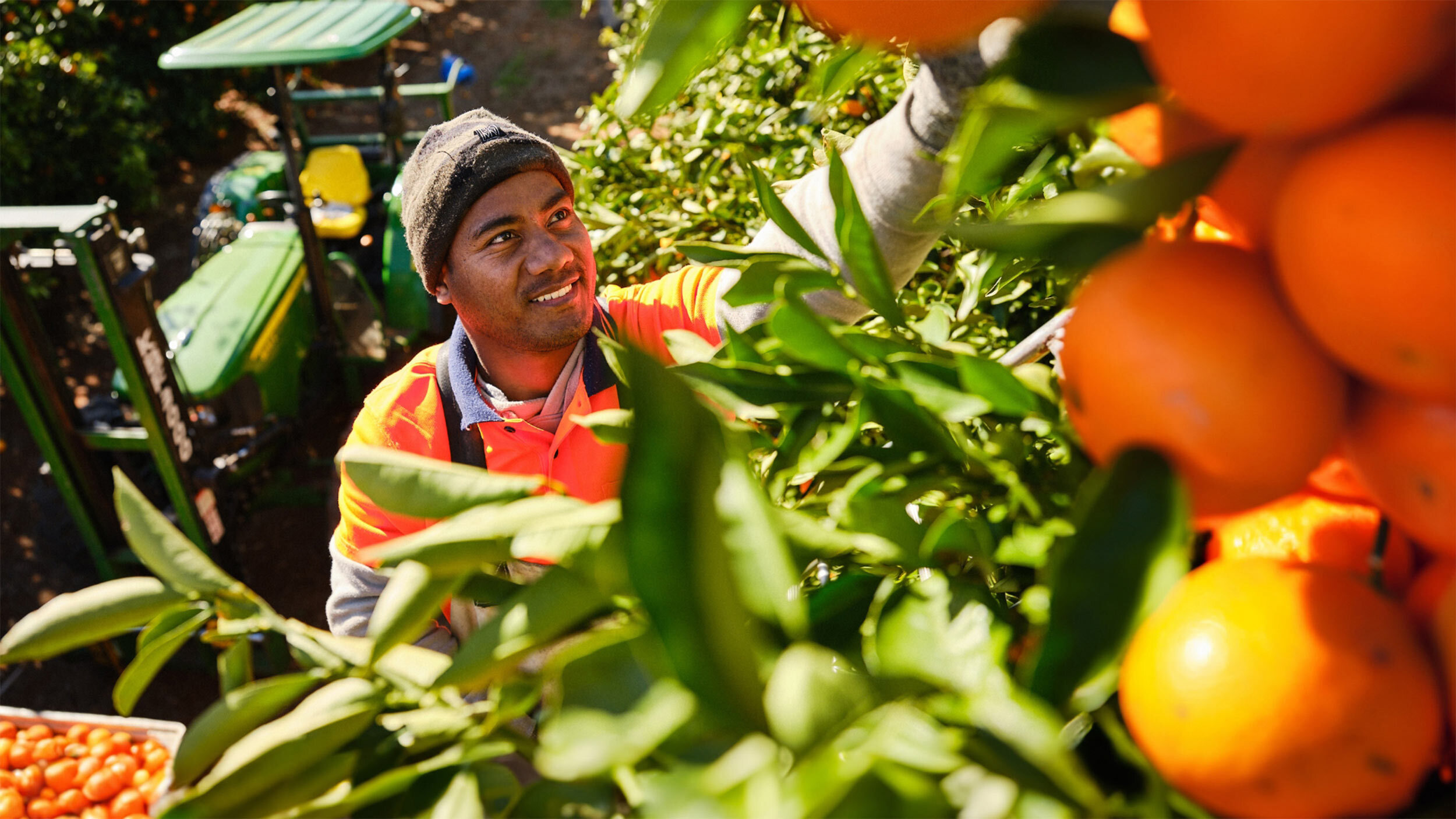 Buy SA For SA | Brand SA